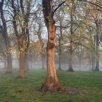 The Ritual in Endings – Liminal Journeys